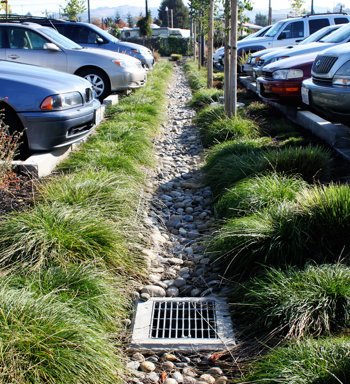 Green Parking Lots Naturally Resilient Communities