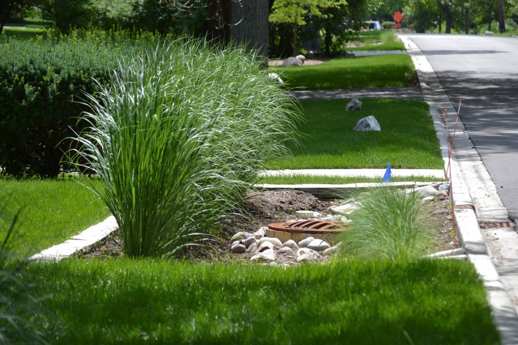 Bioswales – Naturally Resilient Communities