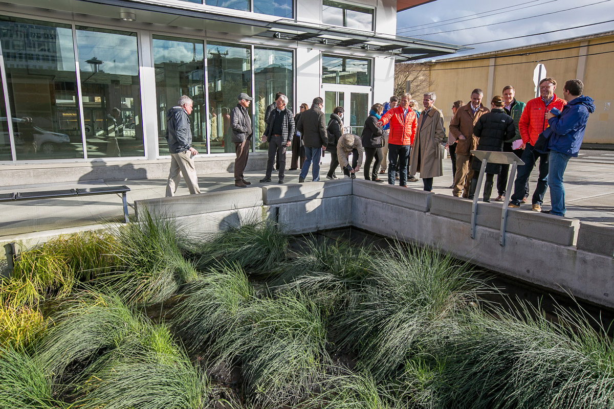 Bioswales – Naturally Resilient Communities