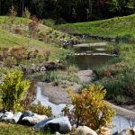 Daylighting Rivers and Streams – Naturally Resilient Communities