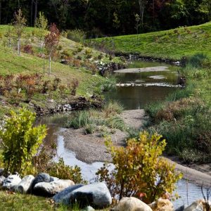 Daylighting Rivers and Streams – Naturally Resilient Communities