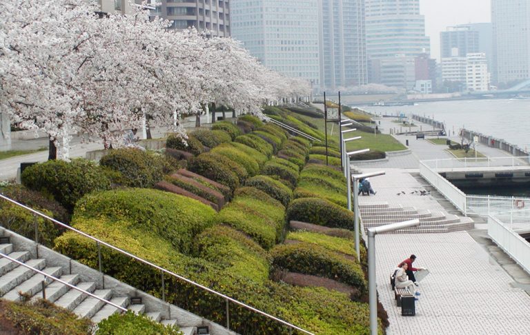 Horizontal Levees – Naturally Resilient Communities