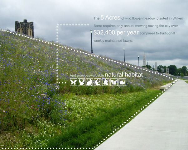 Horizontal Levees – Naturally Resilient Communities