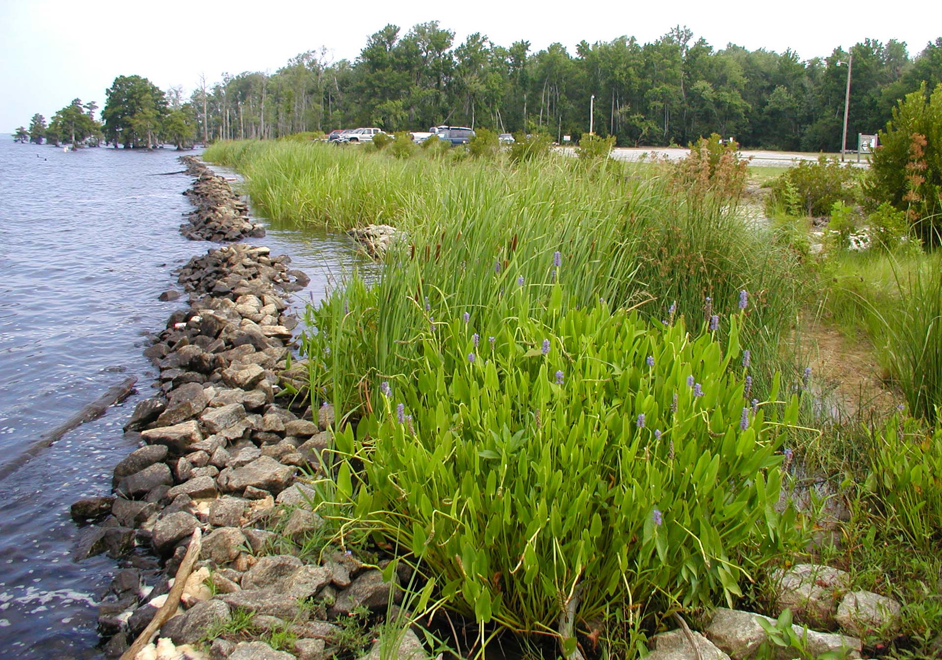 Pensacola Florida Naturally Resilient Communities Pensacola Florida Naturally Resilient Communities