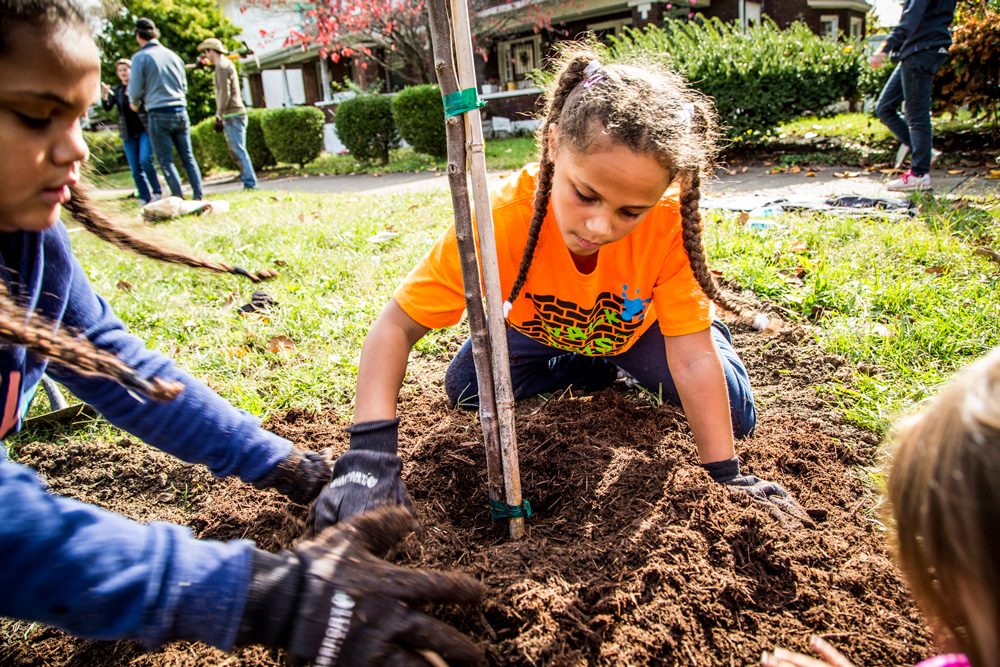 Urban Trees + Forests – Naturally Resilient Communities