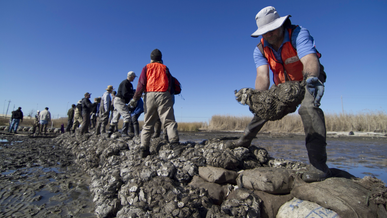 Restoring Coastal Features – Naturally Resilient Communities