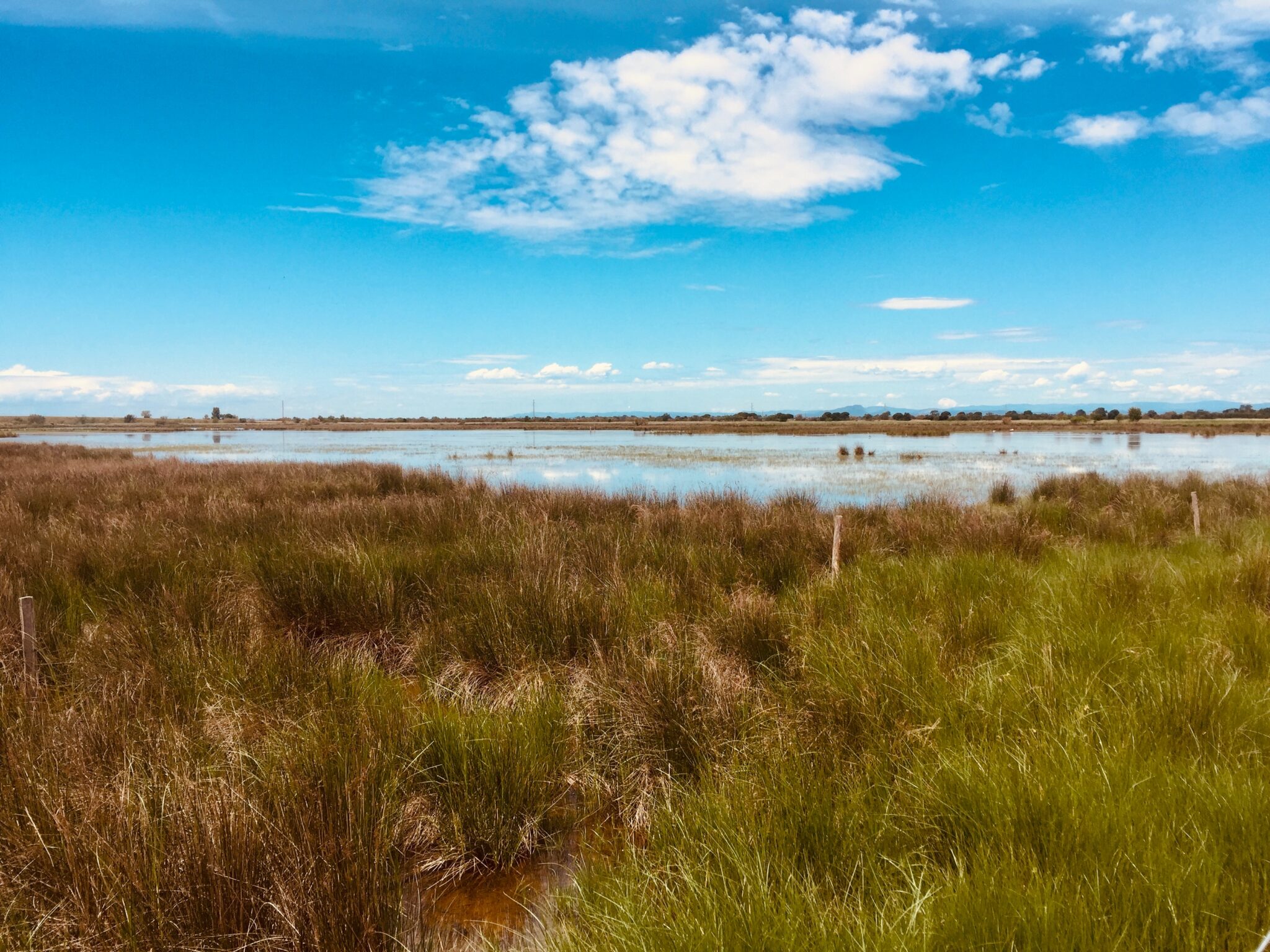Coastal Marshes – Naturally Resilient Communities